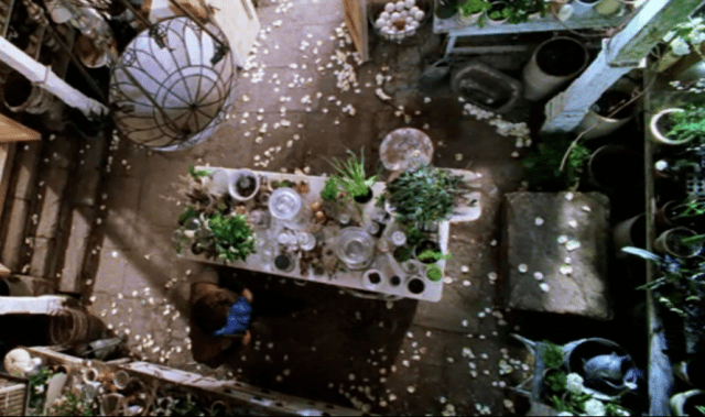 Practical Magic Greenhouse