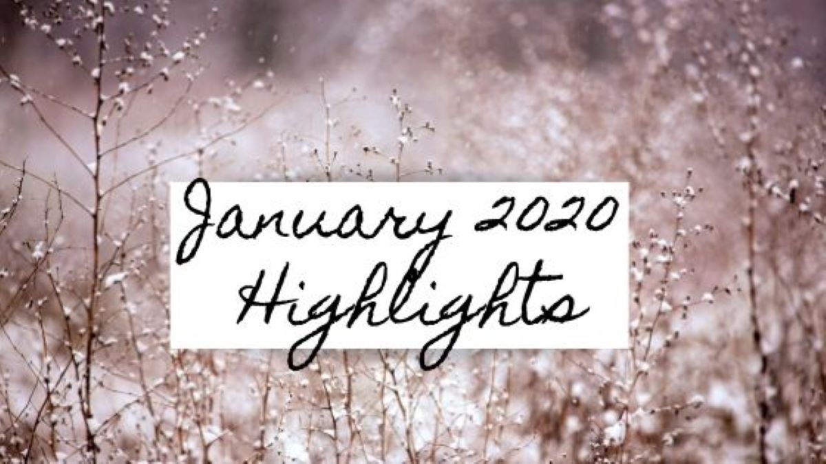 January 2020 Highlights – The Cozy Burrow