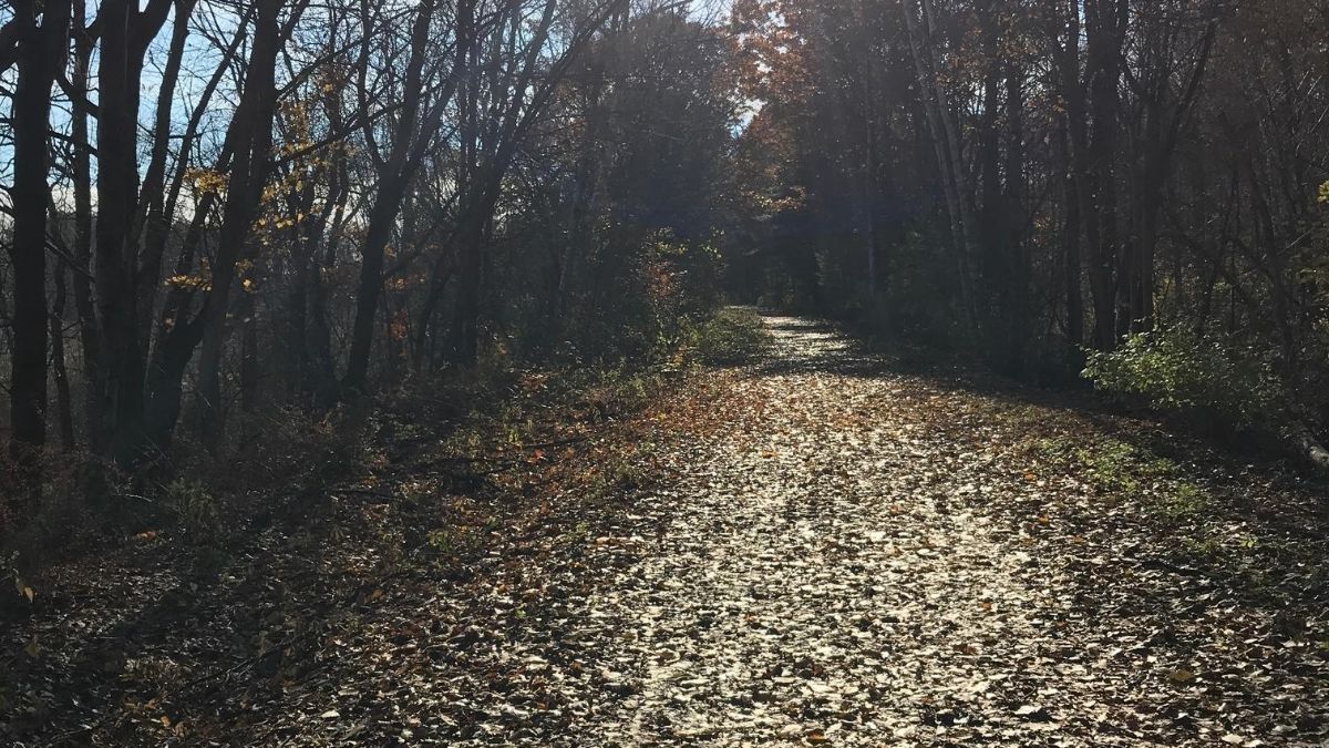 A Sunday Poem – Wendell Berry Again – The Cozy Burrow