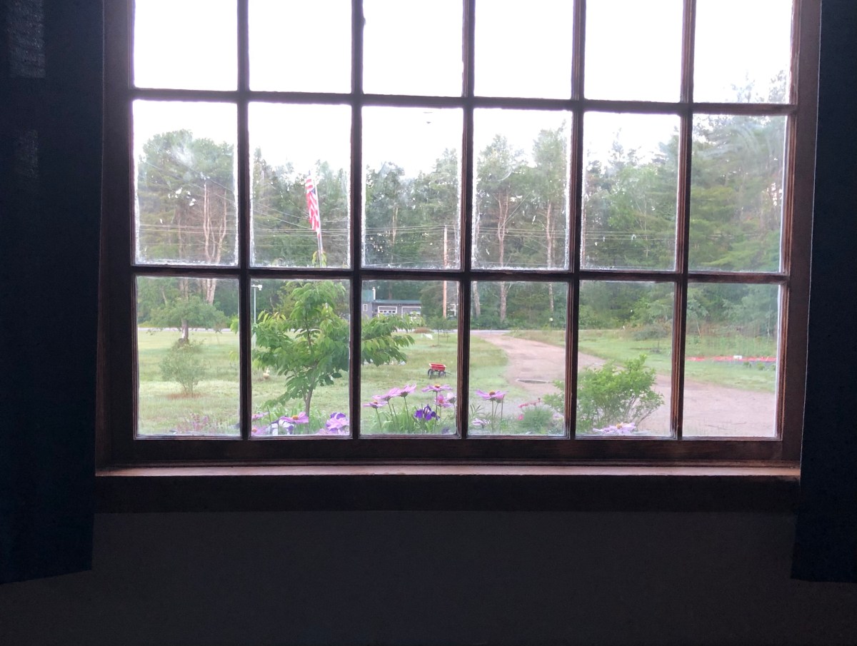 Full of Joy Friday | Week 24 in 2021 – The Cozy Burrow